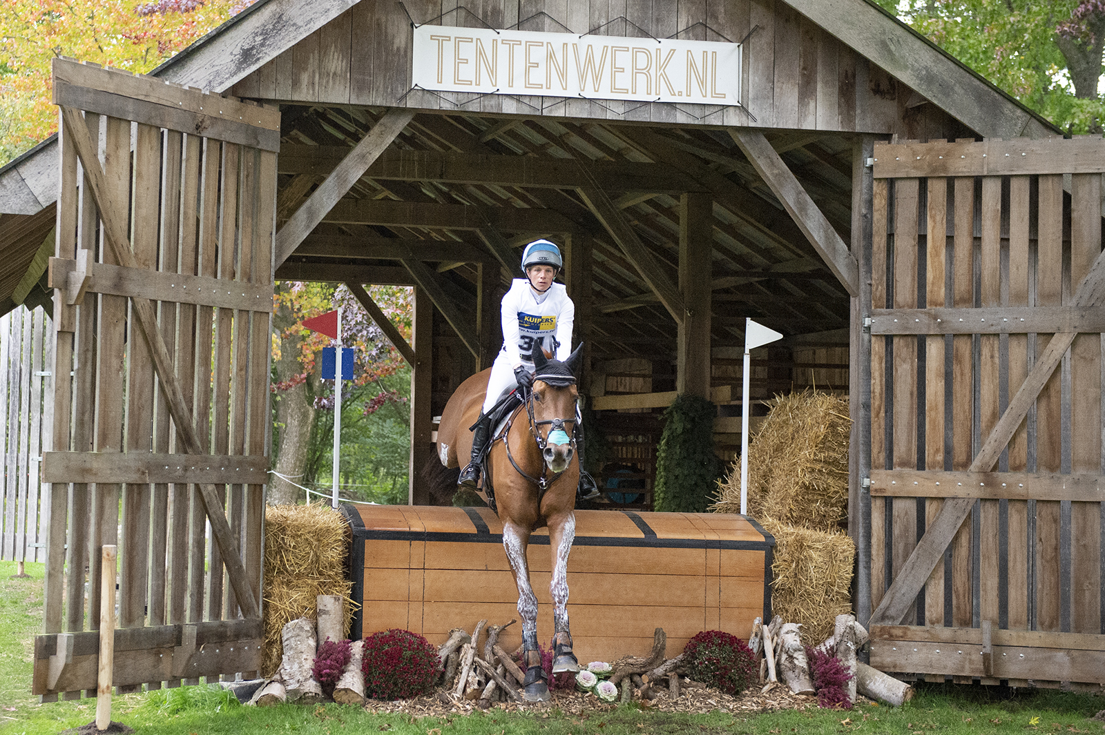 Izzy Taylor with Artful TrinityBoekelo 2019 - Irish Eventing Times