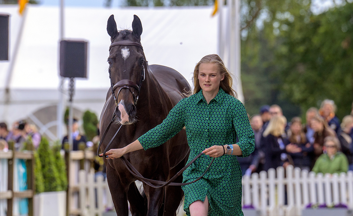 Luhmuhlen CCI5*-L Kick-off! - Irish Eventing Times